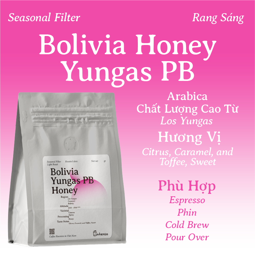 Cà Phê Rang Sáng - Bolivia Yungas Peaberry Honey - Intenso Coffee Roasters | Shopee Việt Nam