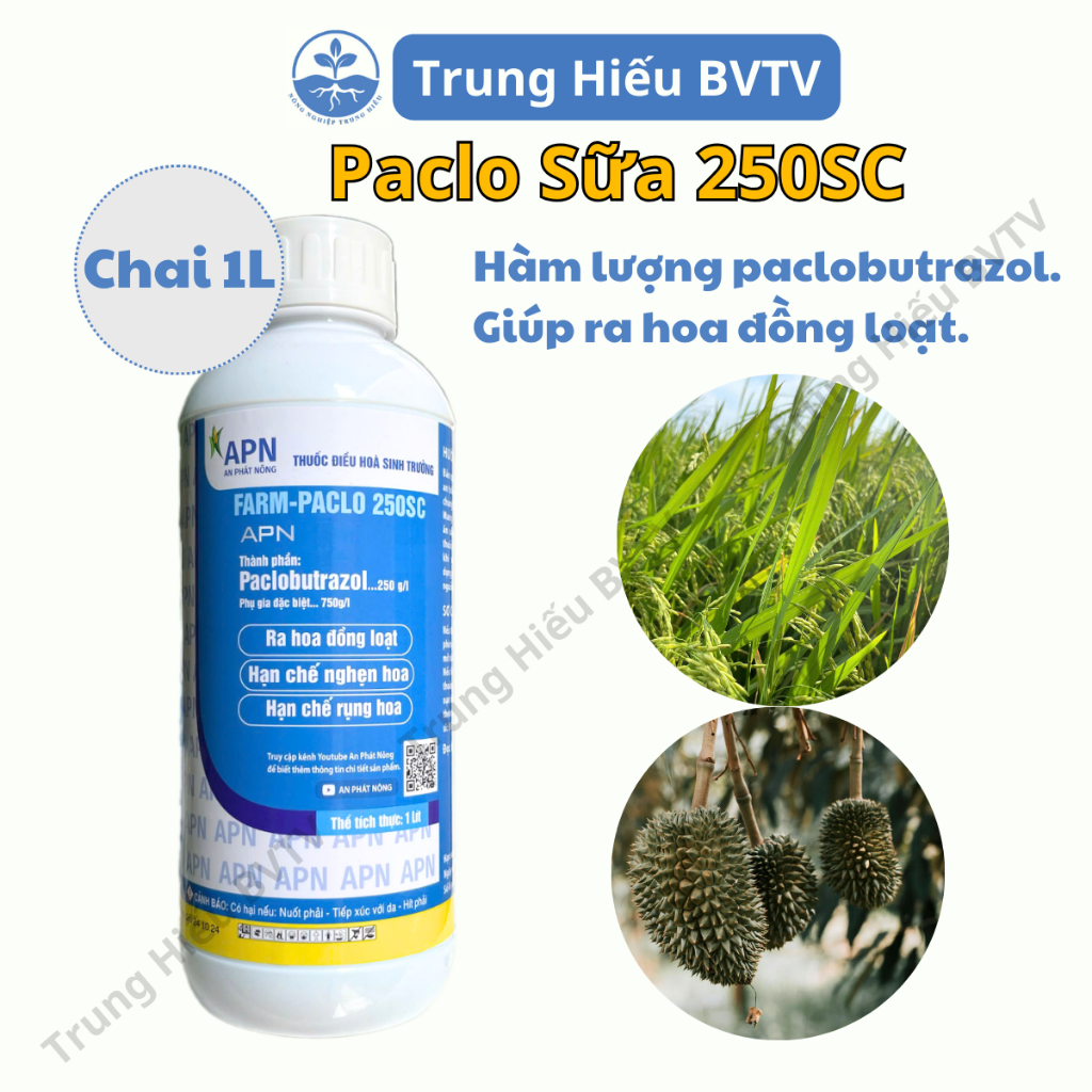 Điều Hoà Sinh Trưởng Paclobutrazol, Farm Paclo 250SC An Phát Nông Chai ...