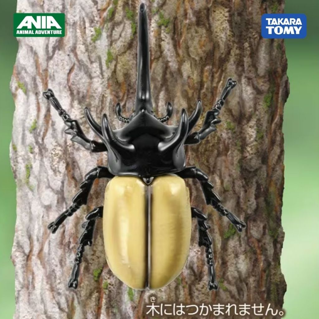 Mô hình Bọ cánh cứng 5 sừng Ania AS-41 Five Horns Beetle 908524 Fullbox ...