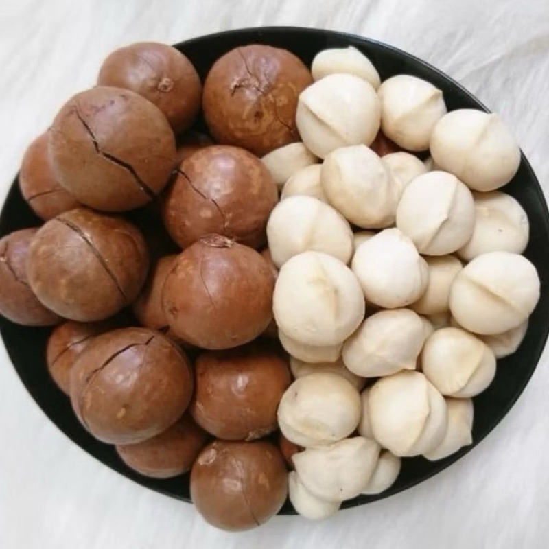 Macca Đắk Lắk Thơm Ngon, Bổ Dưỡng, 1 túi 500Gr | Shopee Việt Nam