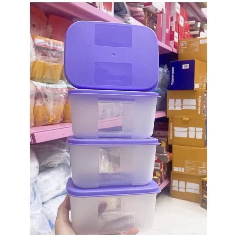 Set 4 Hộp Tupper ware ngăn đông! | Shopee Việt Nam