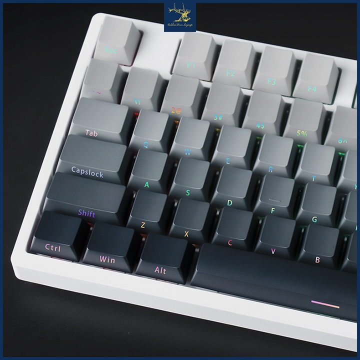 Keycap OEM Polar Chữ Bên Hông, In Double Shoot Cao Cấp, Keycap Xuyên ...