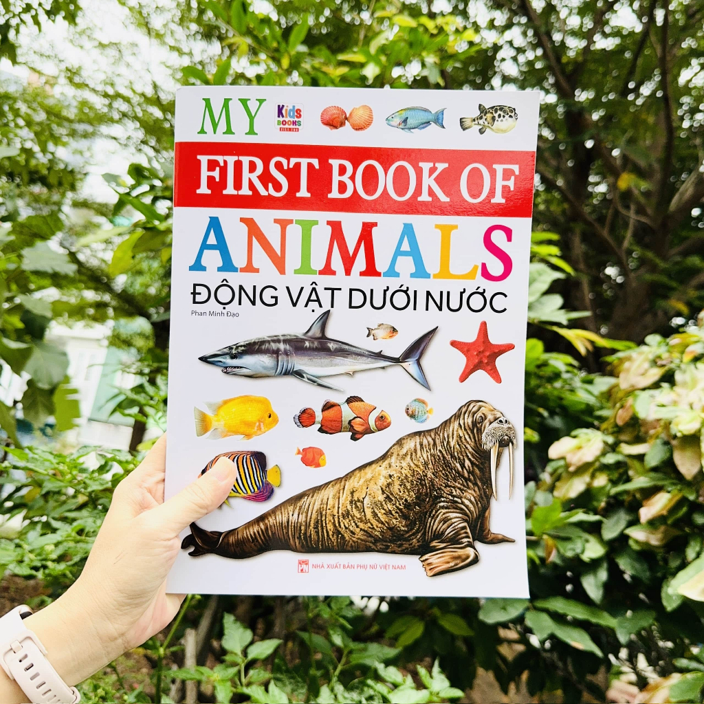 My First Book Of Animal - Động vật dưới nước - Sách thư viện hình ảnh ...