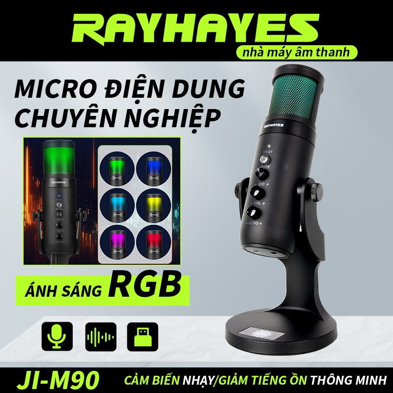 RAYHAYES Micro Điện Dung Cardioid USB Micro cho PC Laptop Ghi Âm ...