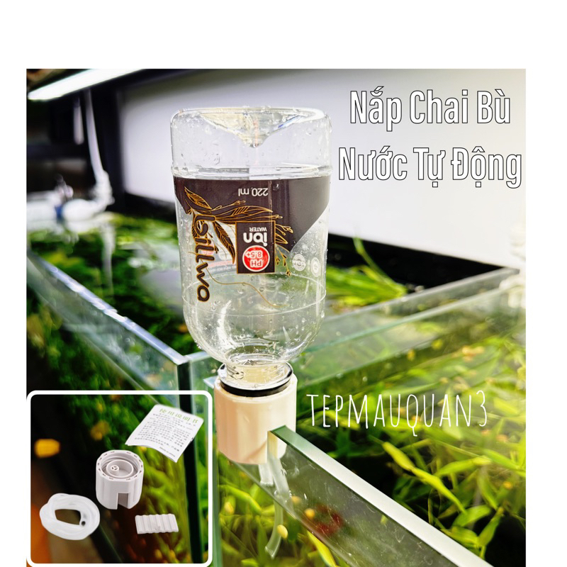 Nắp Chai Bù Nước Tự Động Hồ Cá Cảnh - Tép Cảnh - Tép Màu Quận 3 ...