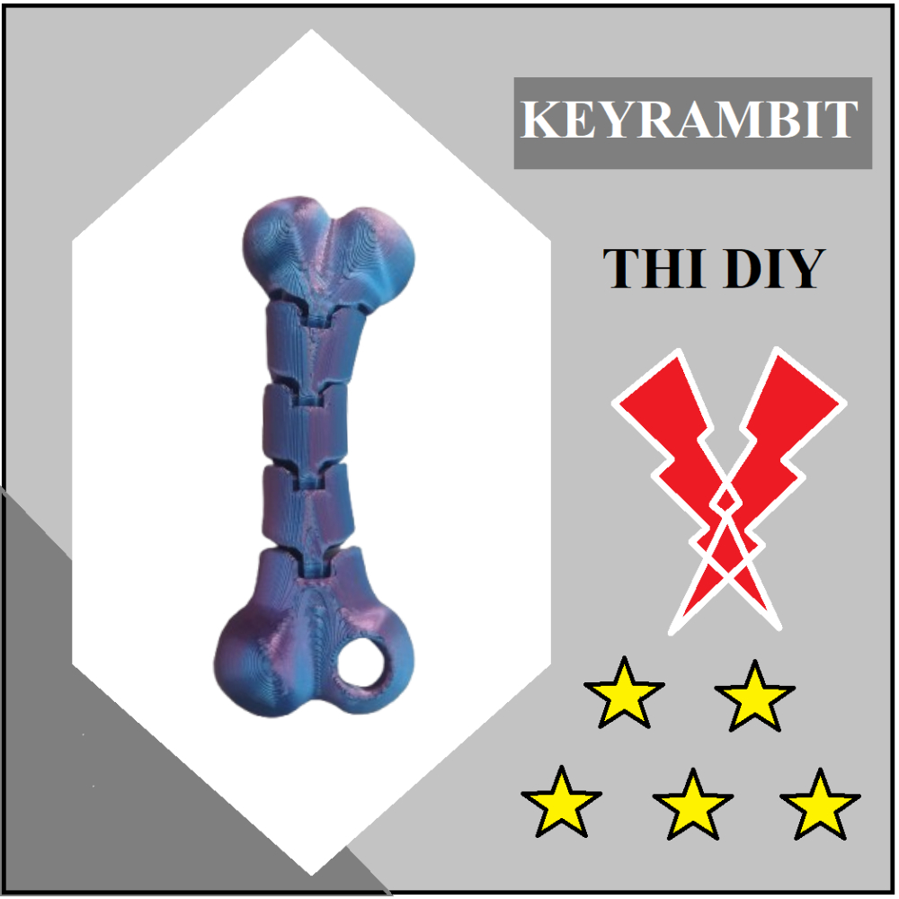 Móc khóa xương đặc biệt - Phụ kiện keyrambit chính hãng Thi DIY ...