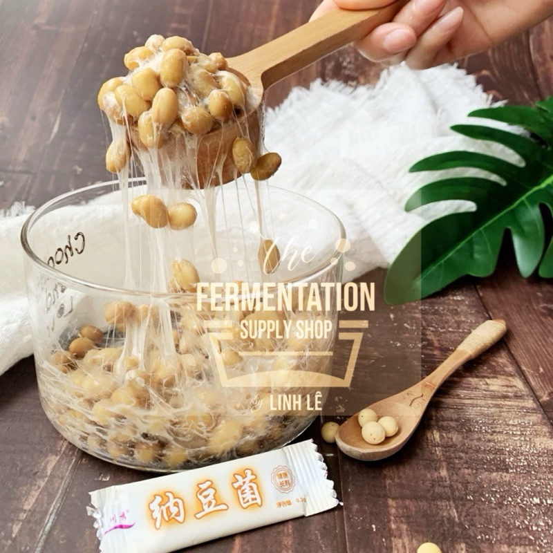 DIY Men Nấm Natto số 1 nội địa Trung Chuanxiu – Men Nấm Natto Tự Làm ...