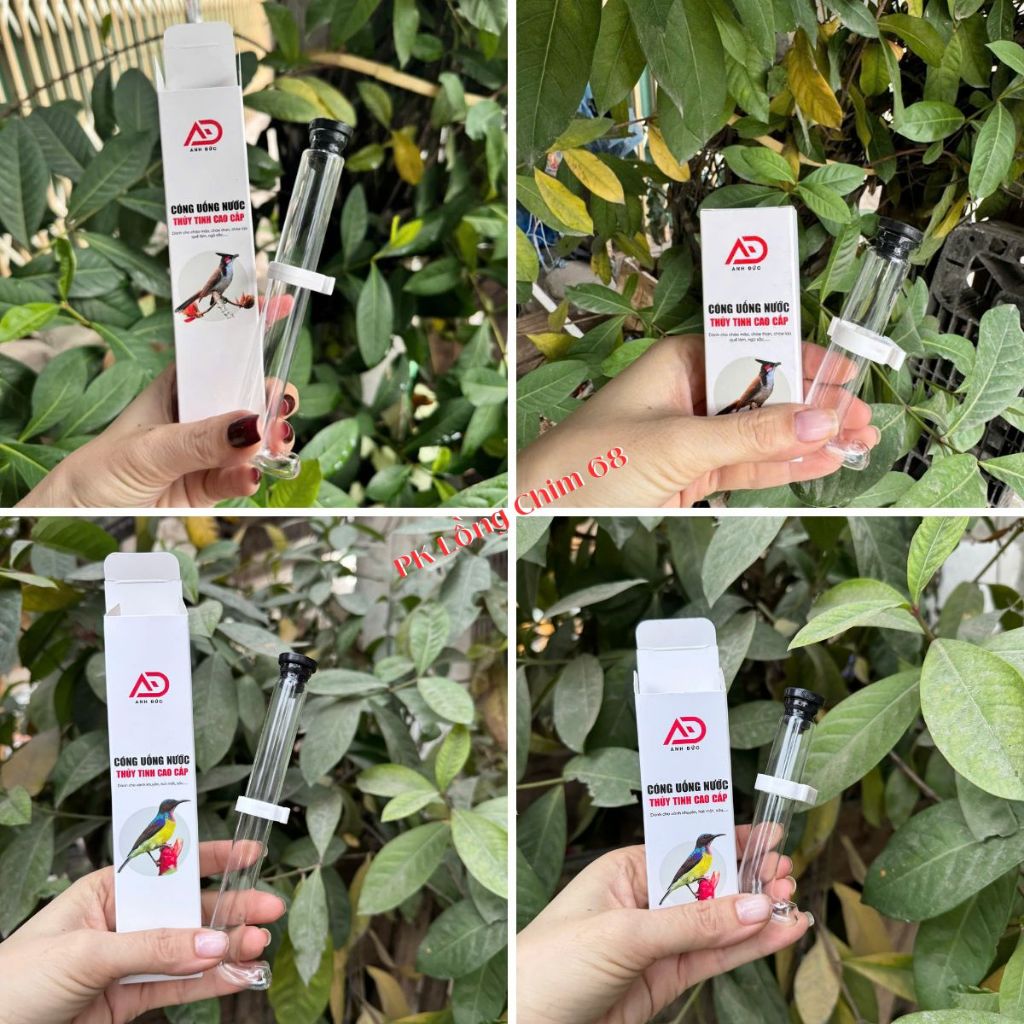 Cóng đựng nước cho chim - Cóng Chào mào,khuyên (9cm-15cm-20cm Tàu nút đen) | Shopee Việt Nam