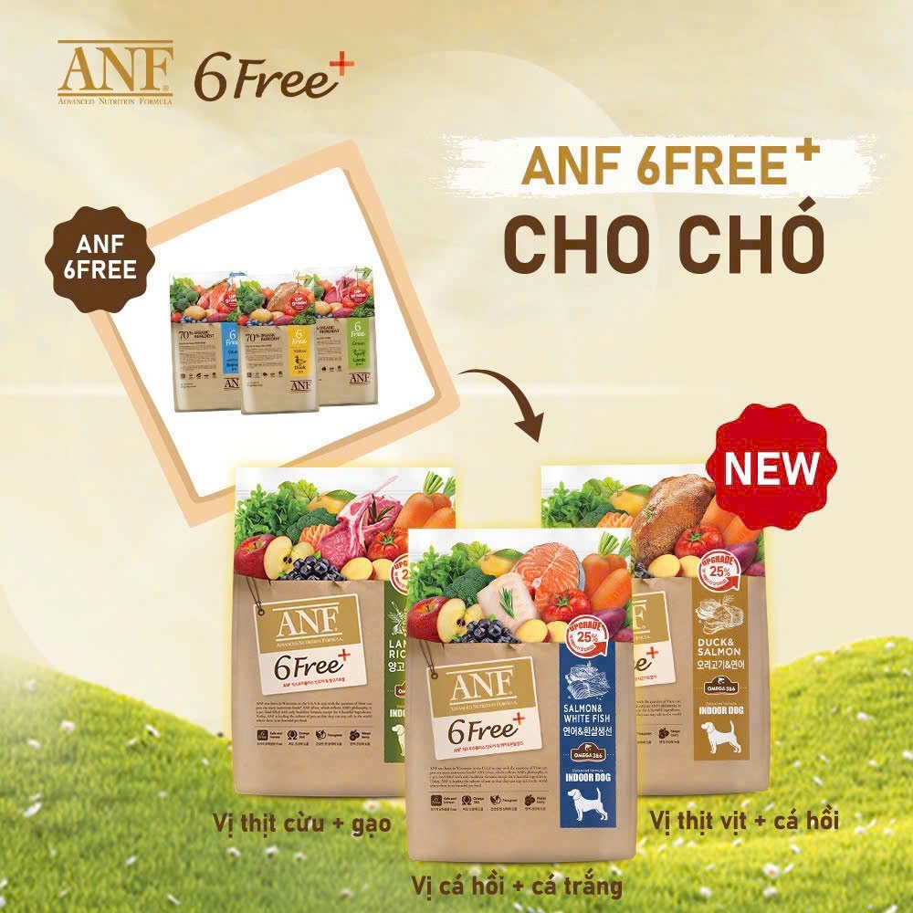 Thức Ăn Hạt Cho Chó Cao Cấp ANF 6 Free 1.6kg | Shopee Việt Nam