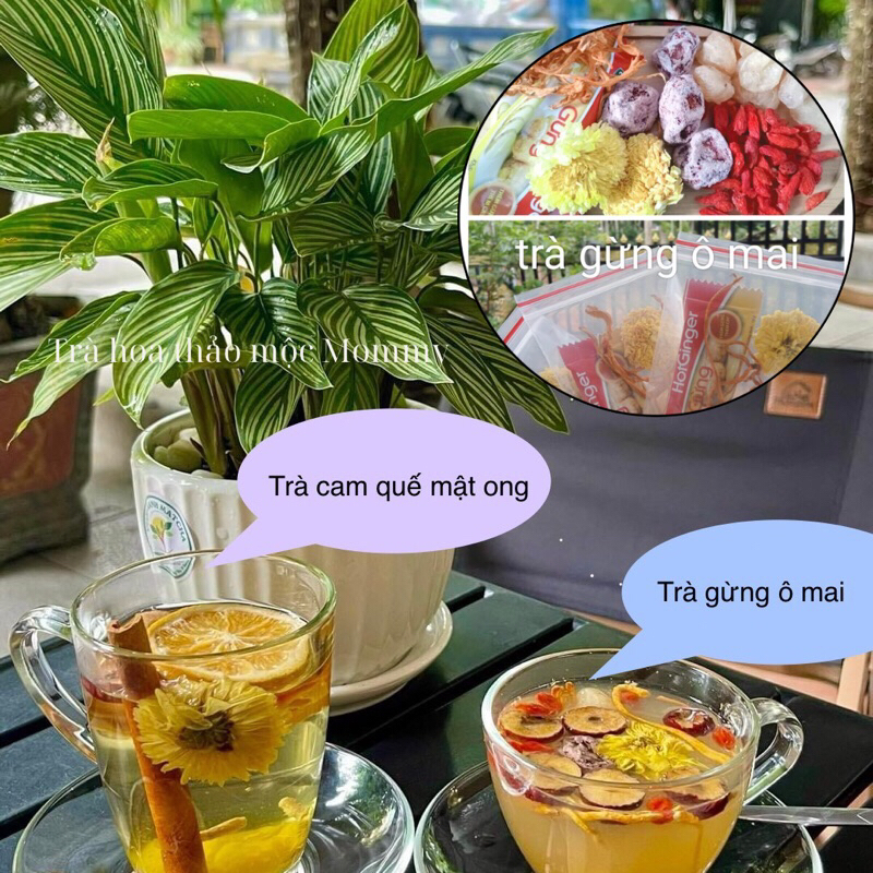 Trà gừng ô mai, trà nóng cho mùa đông set 10 gói | Shopee Việt Nam