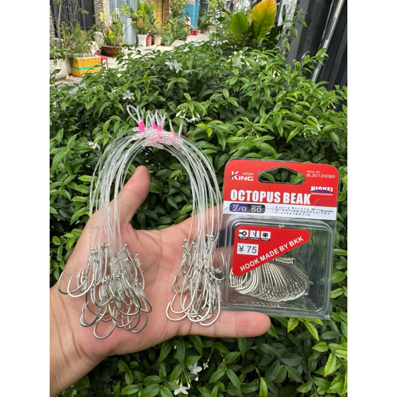 combo 5 chùm 10 chùm nho 6 câu cá lưỡi bkk trắng số 2 dây bulava raptor ...