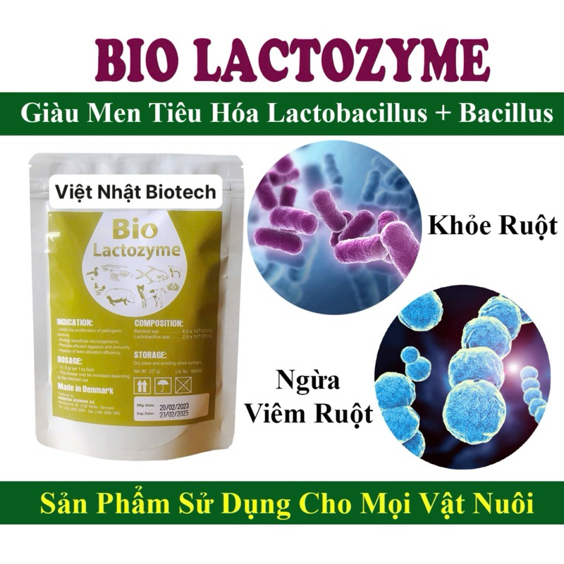 Gói 227Gr Men Tiêu Hoá Lactozyme, Chứa Hỗn Hợp Bacillus SPP Và ...