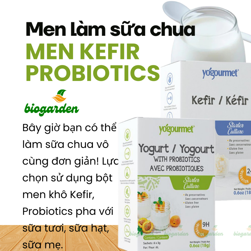 Men Kefir men Probiotics làm Sữa chua lợi khuẩn Yogourmet (Yogurt ...