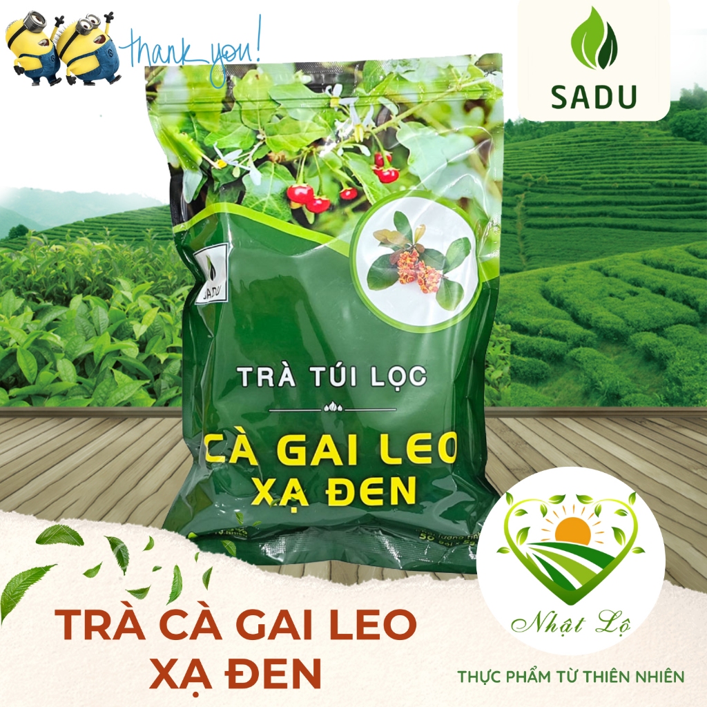 Trà Cà Gai Leo Xạ Đen Sadu Chính Hãng Mát Gan, Thanh Nhiệt Cơ Thể, Bảo ...