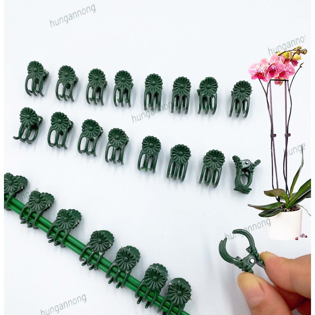 Mã K02 - Sét 50 Kẹp bướm cố định lan, lan hồ điệp, nhánh cây cảnh, dây leo v.v... size 2.1x1.1cm ...