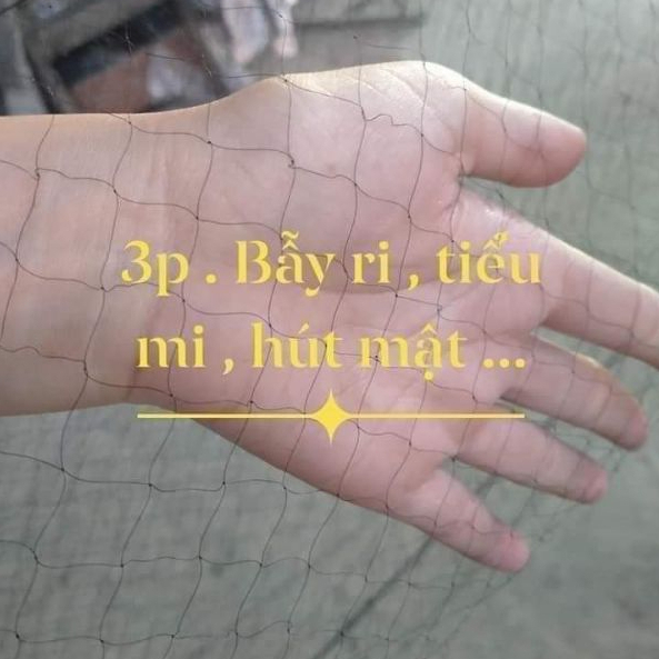 Lưới Bẫy Chim Khuyên, Chim Ri, Sắc Ô, Mắt 3 Phân Cao 5m - 5 Dây 4 Túi ...