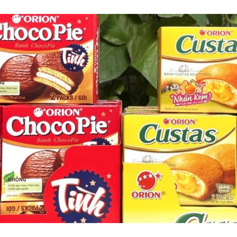 Bánh Chocopie/ Custas hộp 2 cái | Shopee Việt Nam