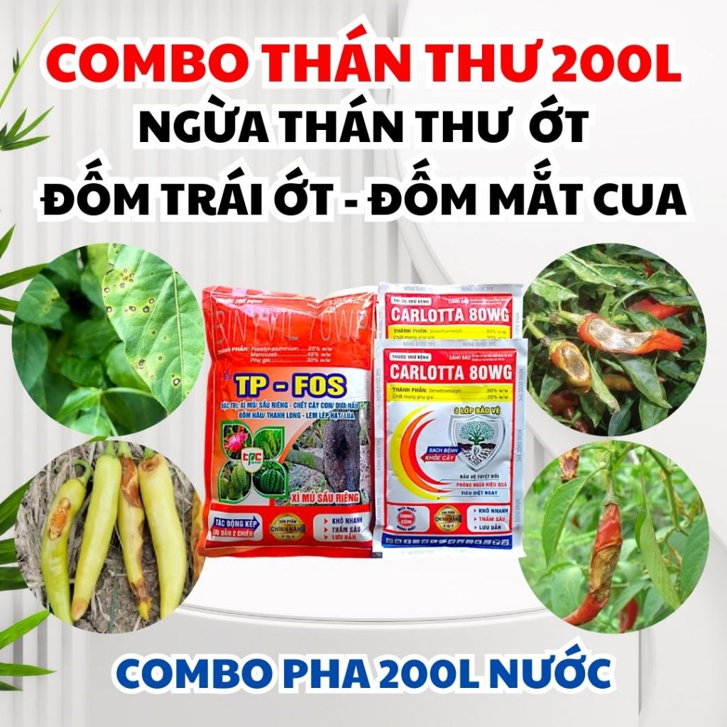 Thán Thư Ớt - Đốm Lá Ớt - Combo Thán Thư Ớt - Carlotta 80WG - TP FOS ...