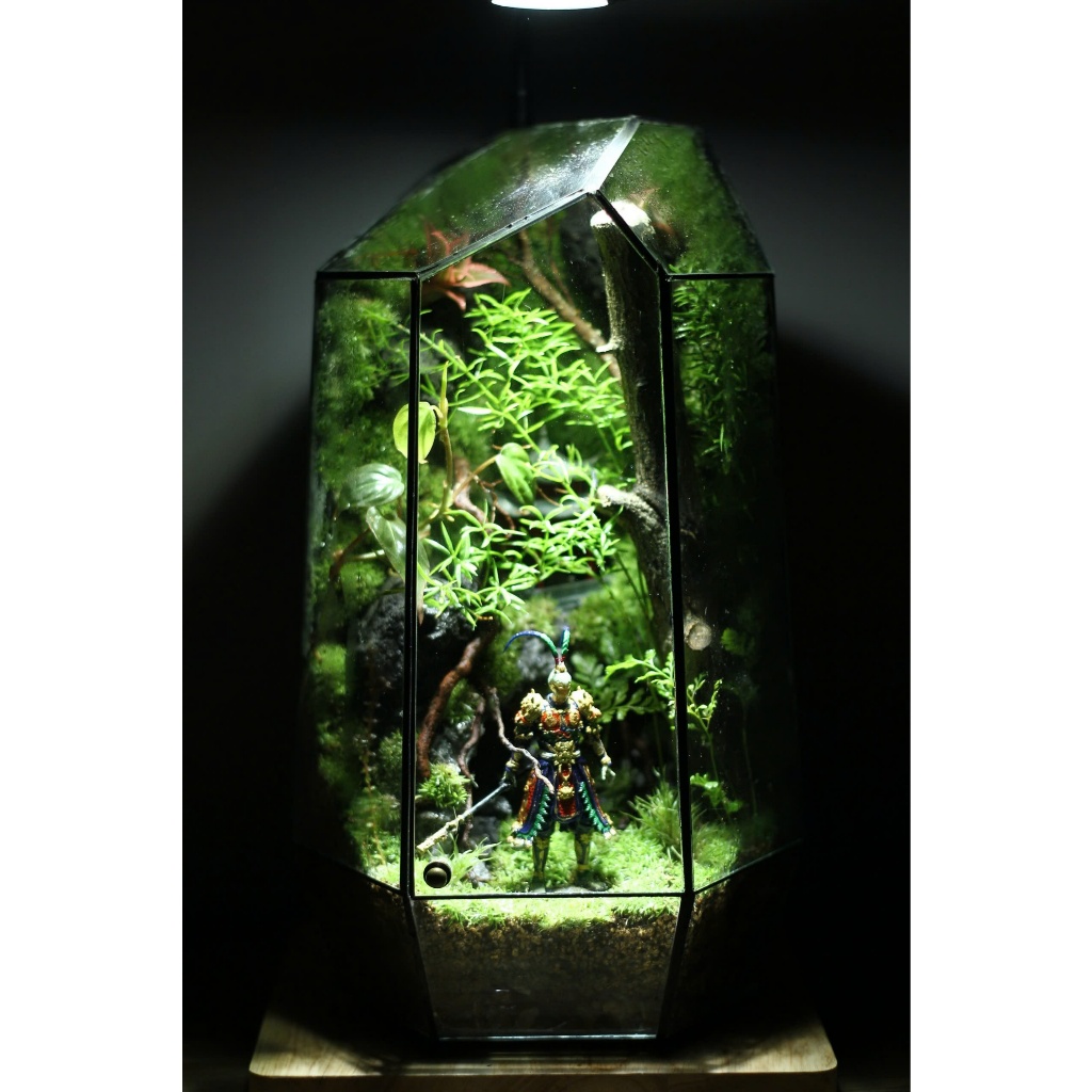Bể Terrarium Black Myth Wukong Tank 16x28cm | Shopee Việt Nam