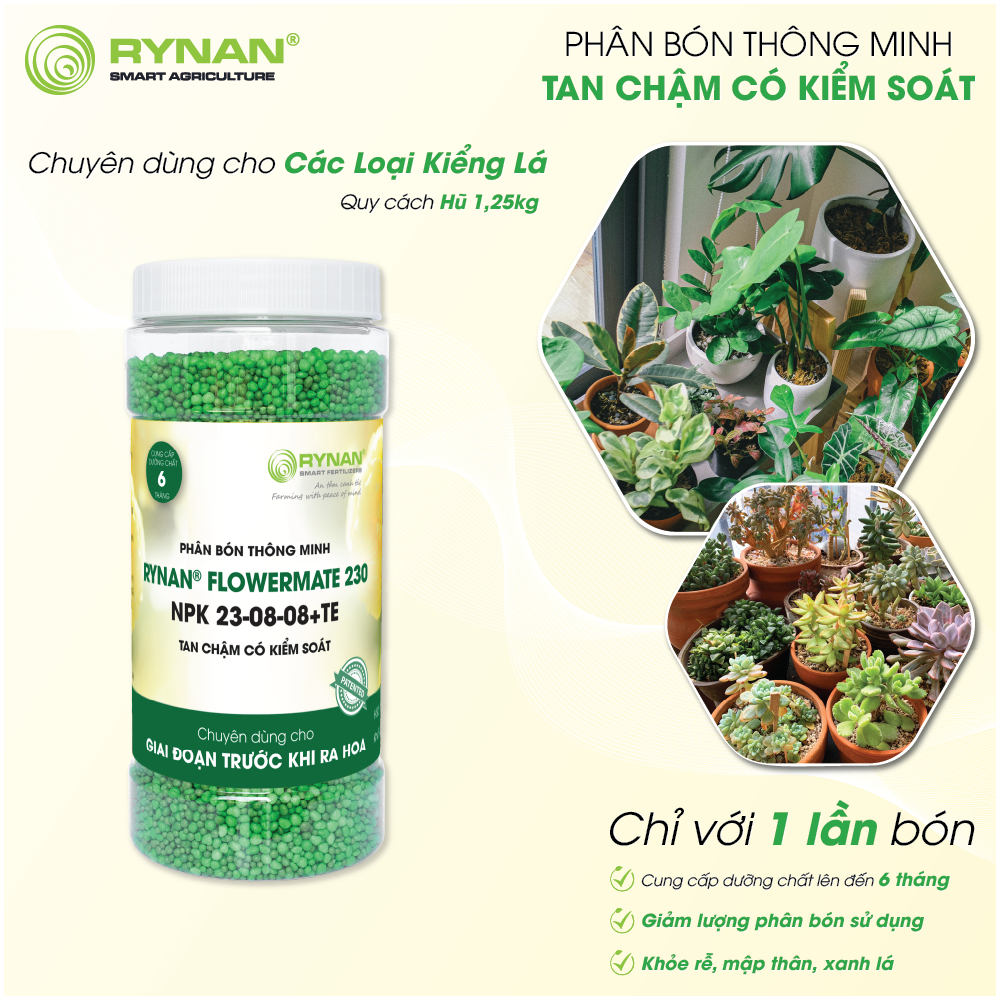 Phân Bón Tan Chậm Cho Hoa Hồng RYNAN® FLOWERMATE 230 NPK 23-08-08+TE ...