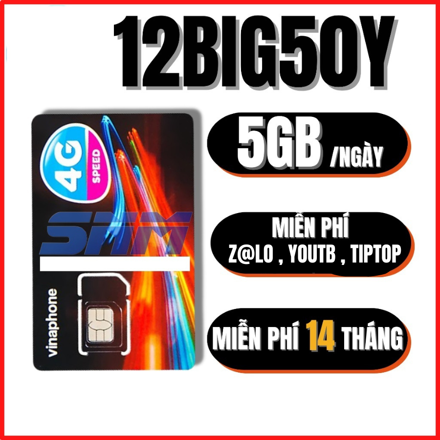 [ SÀI 1 NĂM ] Sim Vinaphone 4G Tặng 1 Tỷ Data Vào Mạng Không Giới Hạn Miễn Phí Gọi Thoại BIG50Y ...