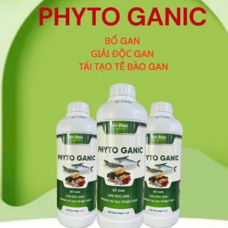 Bổ Gan Phyto Ganic chai 1lit | Shopee Việt Nam