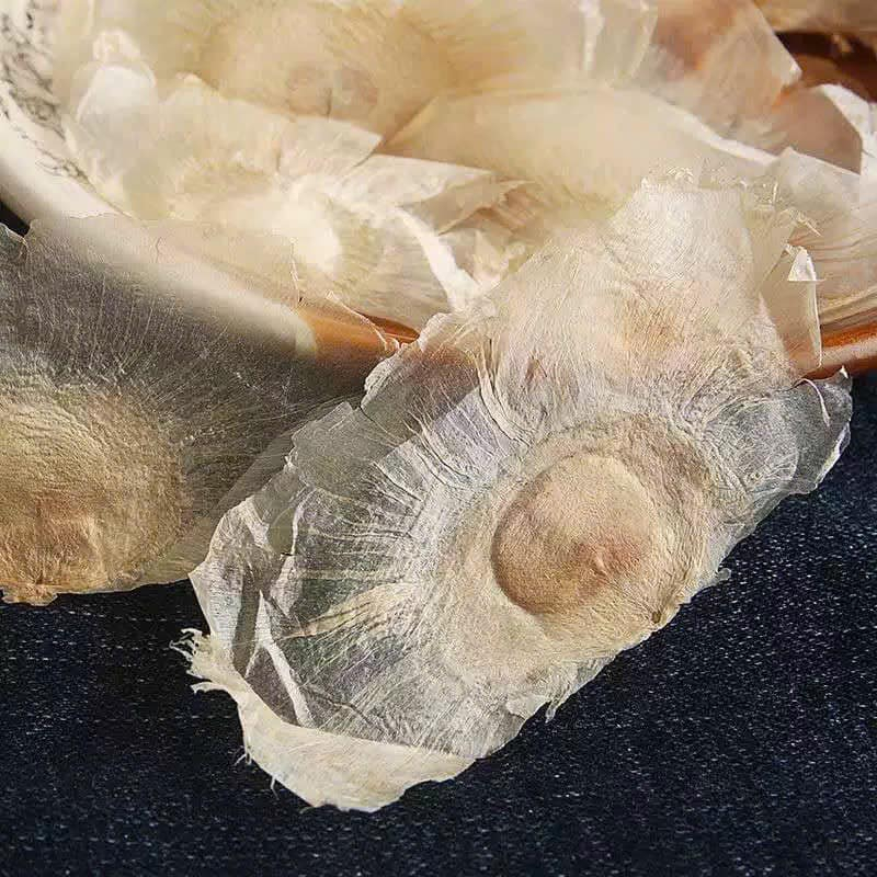 Cánh hoa Mộc Hồ Điệp (𝐓𝐒𝐀𝐌𝐏𝐀𝐊𝐀) [PBMC] | Shopee Việt Nam