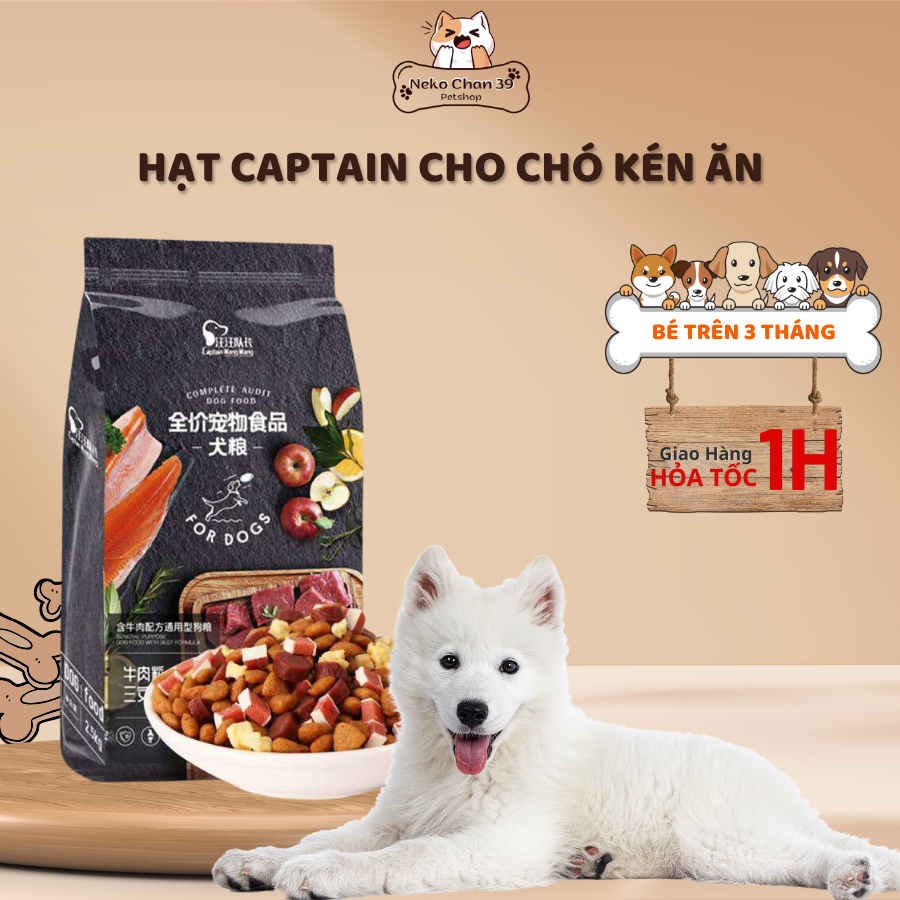[GIAO HỎA TỐC XUYÊN TẾT] Hạt Cho Chó Captain 2.5KG (Mix Bò, Cá, Phô Mai ...