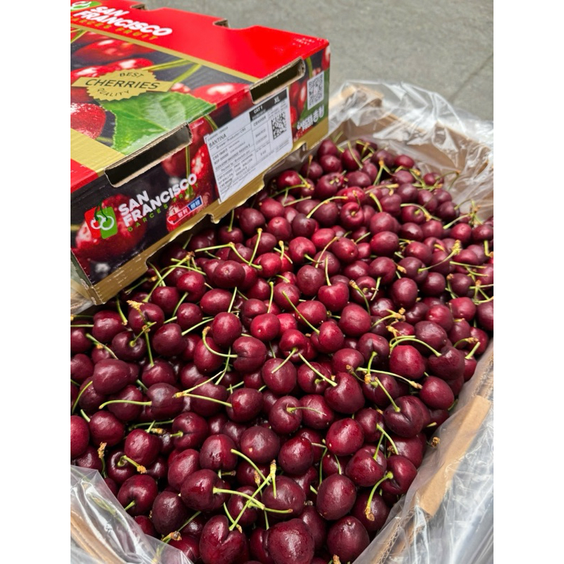 Cherry Chile | Shopee Việt Nam