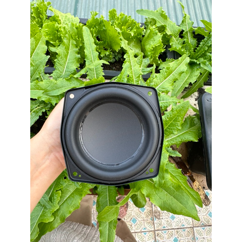 Củ loa Bb2 mid bass Gi bê nờ 4ohm 40w | Shopee Việt Nam