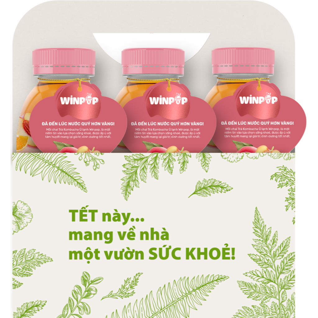 Hộp Quà Tết 2025 Trà Kombucha Ủ Lạnh Cam Đào Tươi thương hiệu WINPOP ...