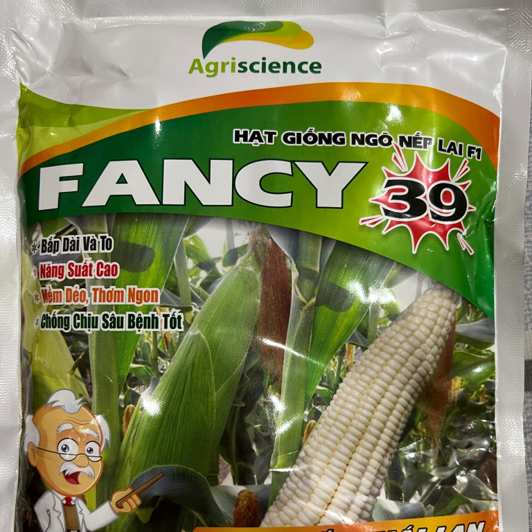 Hạt Giống Ngô Nếp lai F1 Fancy 39 (Gói 500 Gam) | Shopee Việt Nam
