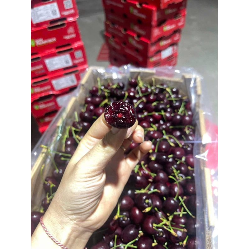 Cherry chile | Shopee Việt Nam