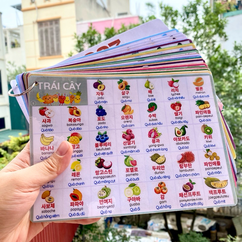 [FLASHCARD TIẾNG HÀN]-Bộ thẻ 1023 từ vựng tiếng Hàn-24 chủ đề cơ bản ...