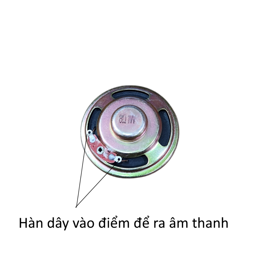 Loa 8 Ohm 8R 1W Đường Kính 50mm | Shopee Việt Nam