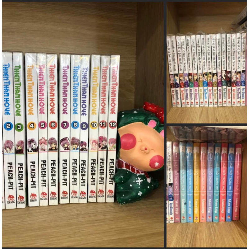 thiên thần hộ vệ, momochi, dreamin sun, KnY | Shopee Việt Nam