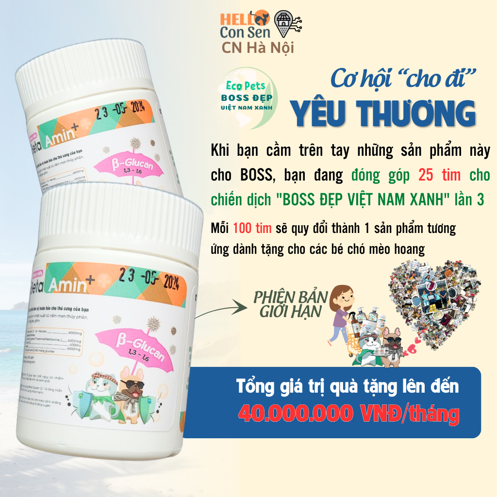 Bột Dinh Dưỡng Beta Amin Cho Mèo Biếng Ăn, Mèo Còi - Tăng Đề Kháng ...