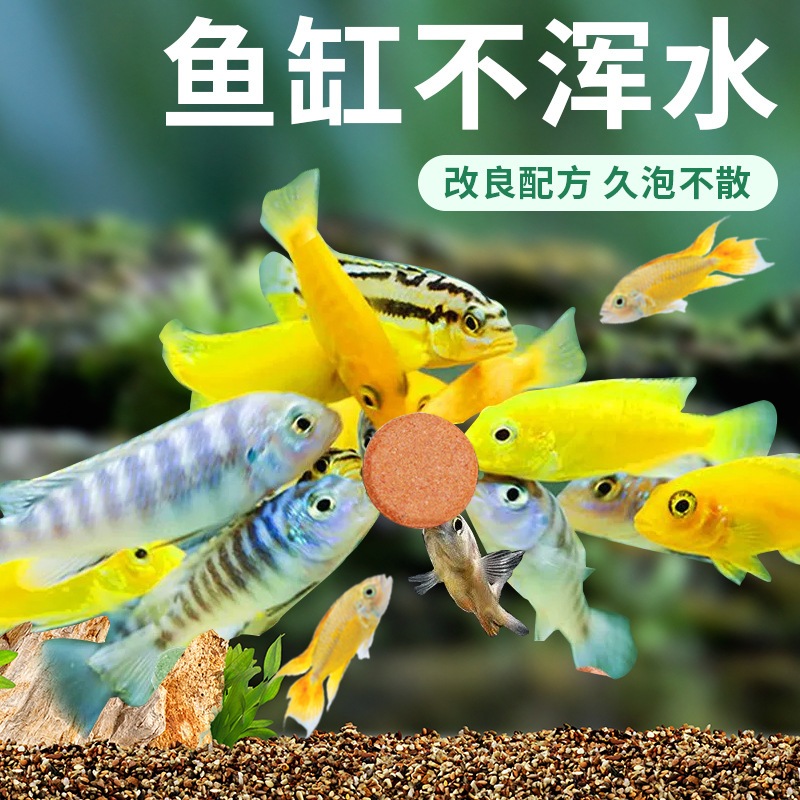 1 viên thức ăn cám dán bể kính viên tảo xanh/ viên tôm giàu đạm ...