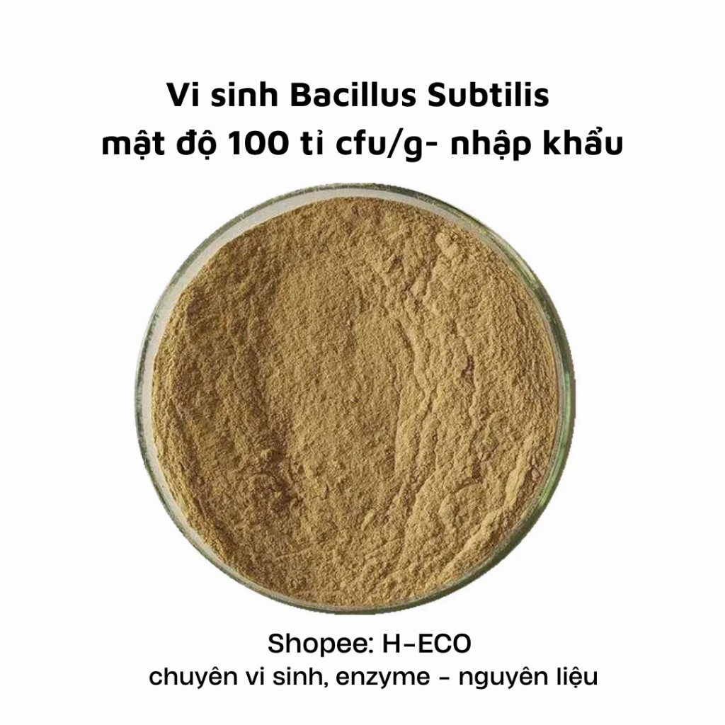 Vi sinh ECO - GENESIS S100 ( Bacillus Subtilis mật độ 100 tỉ cfu/g ) túi 1kg | Shopee Việt Nam