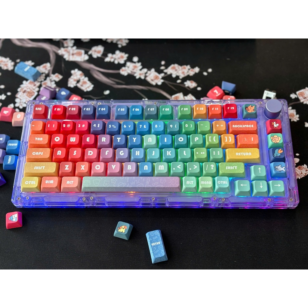 Akko ICE 75 3 mode /Led rgb/Led viền/Hotswap 5 pin/Mạch xuôi đã mod ...