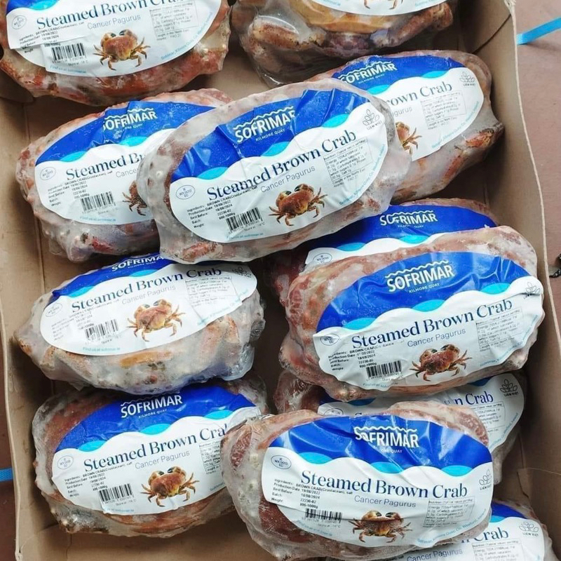 CUA NÂU SIÊU GẠCH BAO ĂN TỪNG CON 1-1. SIZE ĐAI 800g-1Kg/con | Shopee Việt Nam