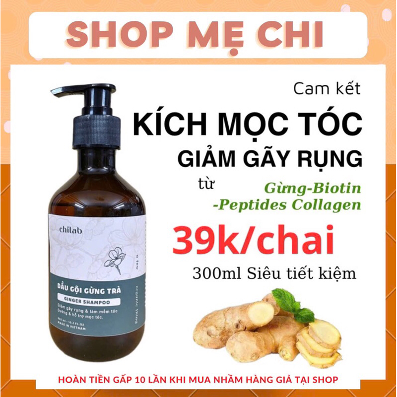 [300ml] Dầu Gội Gừng Trà cô đặc, sạch gàu, kích thích mọc tóc, giảm ...