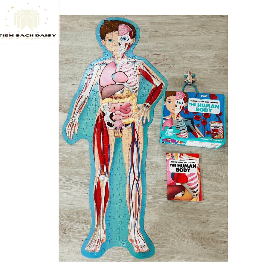(Nhập UK) Bộ xếp hình 200 mảnh cơ thể người tặng 10 mảnh cỡ đại Sassi ...