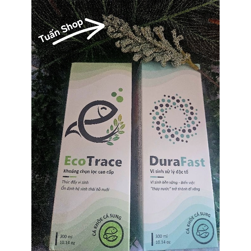EcoTrace và DuraFast kích hoạt bộ vi sinh nhanh chóng và giải độc tố trong nước nhanh chóng ...