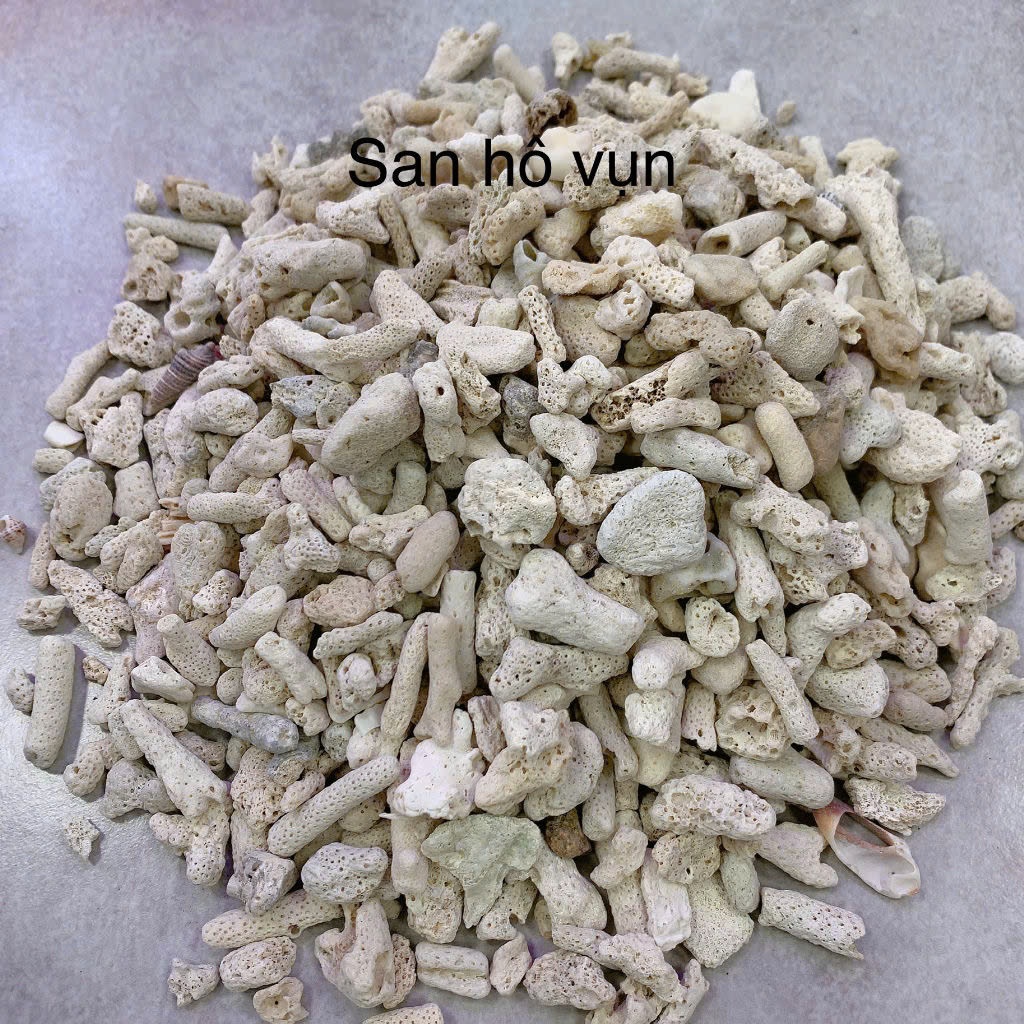 San hô lọc nước cho hồ cá | Shopee Việt Nam