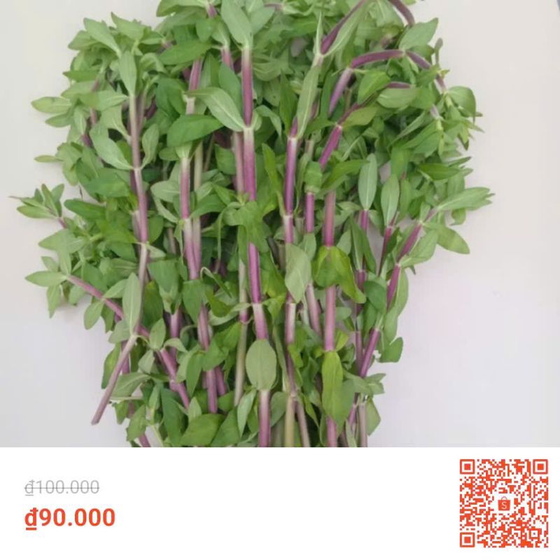 1kg rau ngò ôm tím chữa thận | Shopee Việt Nam