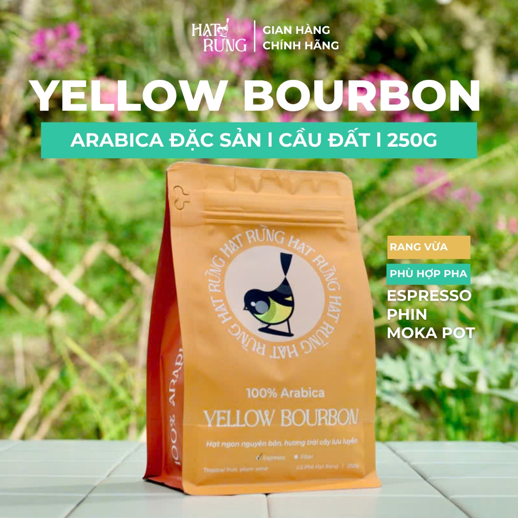 Cà phê đặc sản rang mộc Arabica 100% YELLOW CHERRY, rang vừa (espresso ...