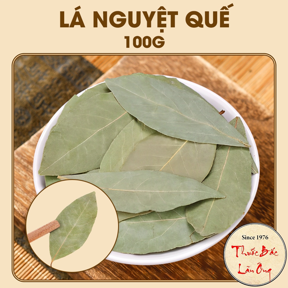 Lá nguyệt quế khô 100g, lá bay leaf, viết điều ước, decor trang trí ...