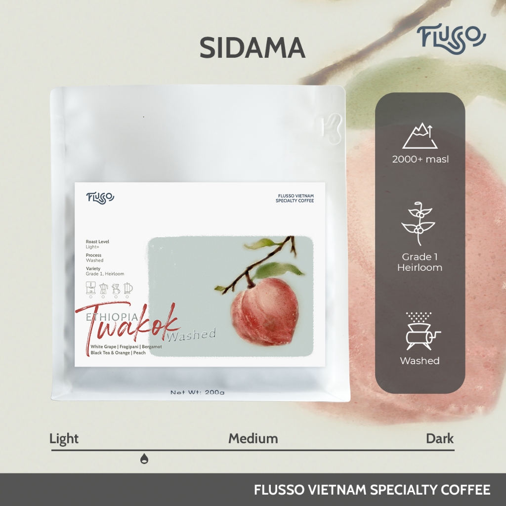 Cà phê Specialty Ethiopia Sidama Twakok Washed | Shopee Việt Nam