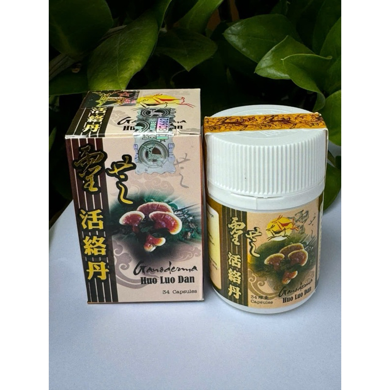 Ganodema Huo Luo Dan (Linh Chi Hoạt Lạc Đơn) | Shopee Việt Nam
